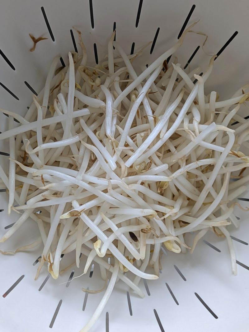 Bean Sprout Banchan (Korean Side Dish) - Balanced Hawaii Eats